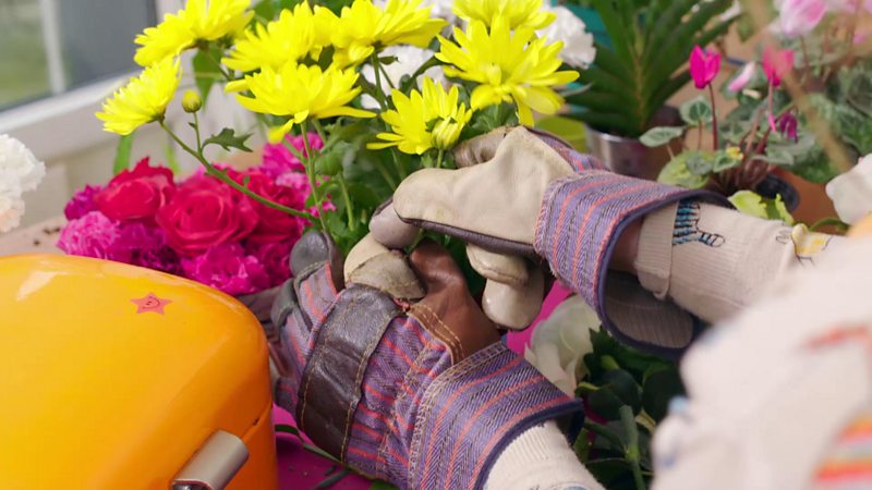 KS1 / KS2 Science: The anatomy of the flower - BBC Teach