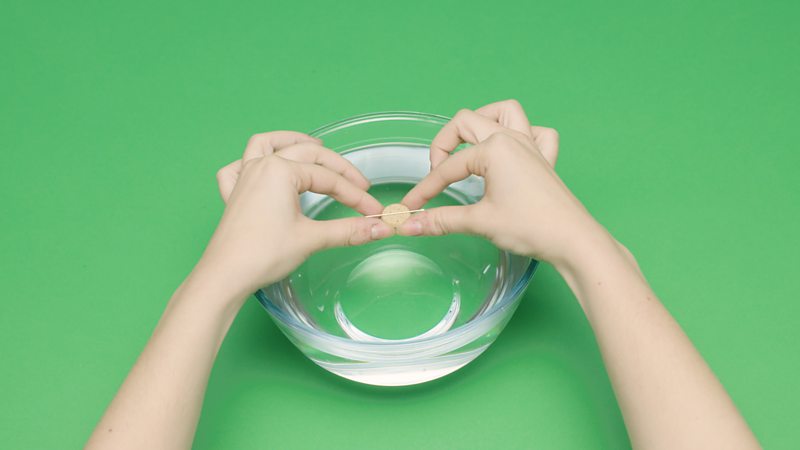 How to make a magnetic compass guide for KS3 physics students - BBC ...