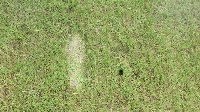 How to show the difference between force and pressure guide for KS3 ...