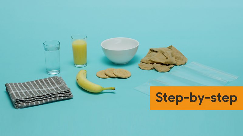 How to model digestion using tights - Nutrition, digestion and ...