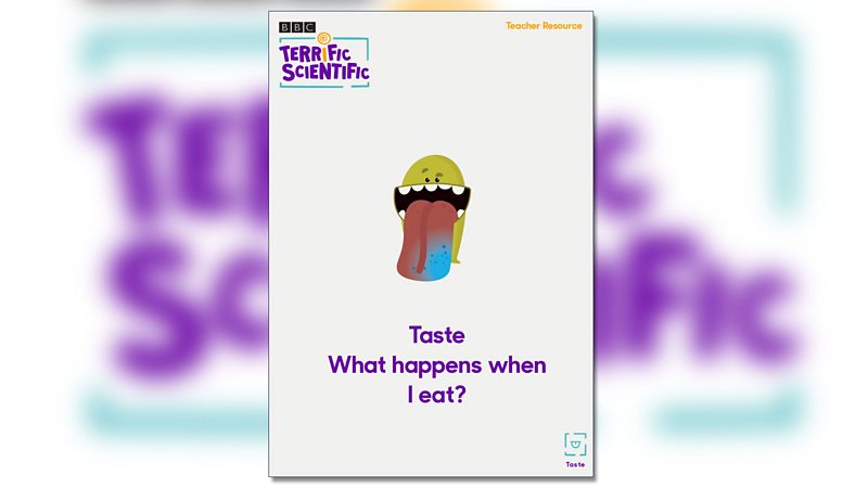 What can I taste with my tongue? - BBC Teach