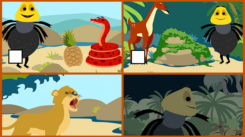 English KS1: Anansi and the Moss-Covered Rock - BBC Teach