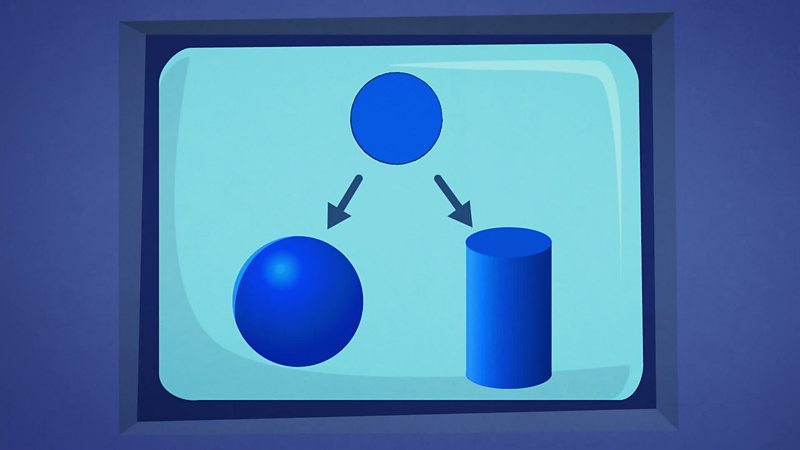 Shapes and movement - 1st level Maths and Numeracy - BBC Bitesize