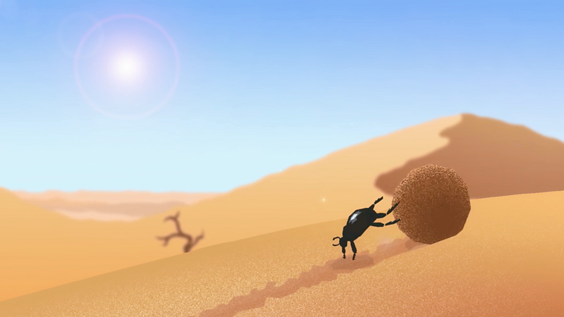 The natural world - Year 3 Geography - BBC Bitesize