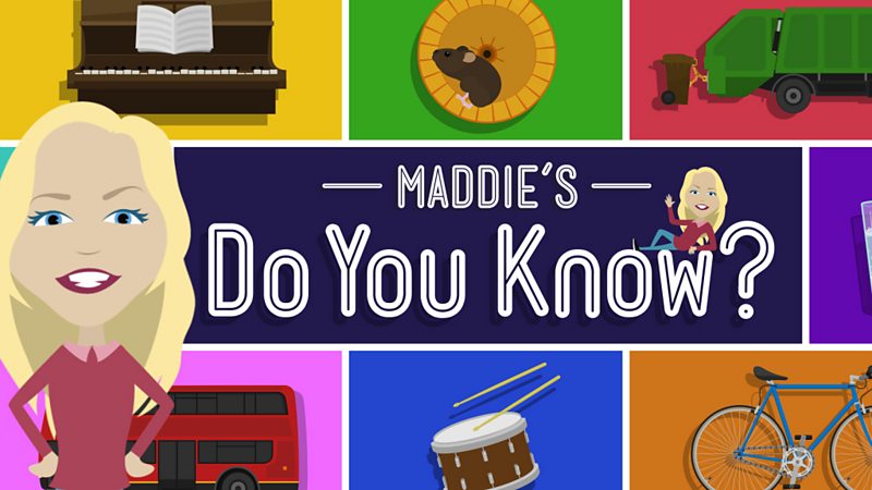 Children's Learning Game - Maddie's Do You Know? - CBeebies