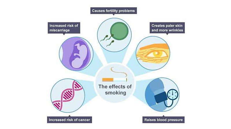 Smoking - BBC Bitesize