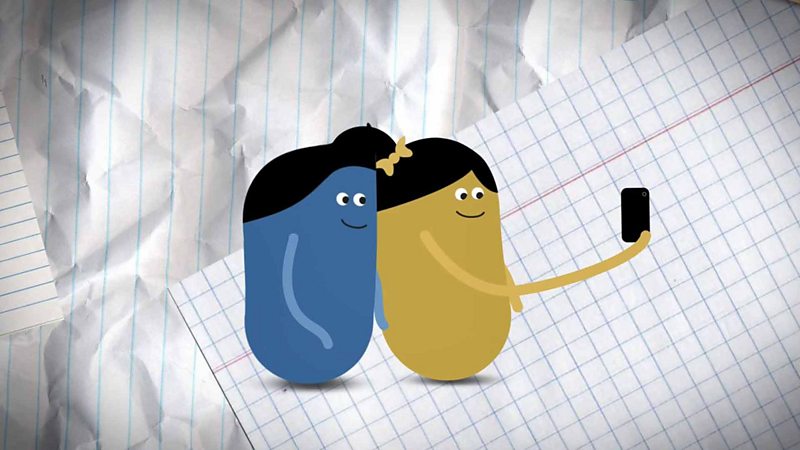 Personal development - KS3 Learning for Life and Work - BBC Bitesize