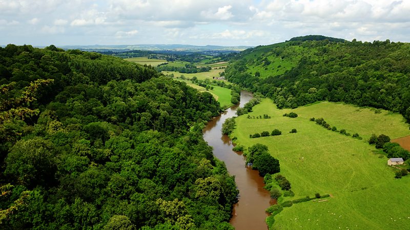 Photosynthesis - BBC Bitesize