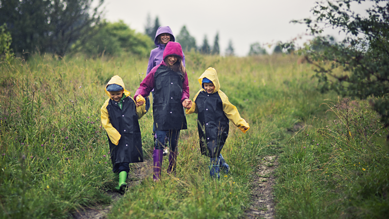 Astronomy vs meteorology: When does summer start? - BBC Bitesize