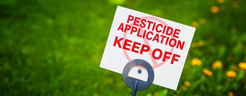 Are there really toxins in non-organic food? - BBC Food