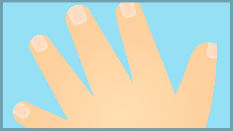 Reception / EYFS: Wiggle Waggle - BBC Teach