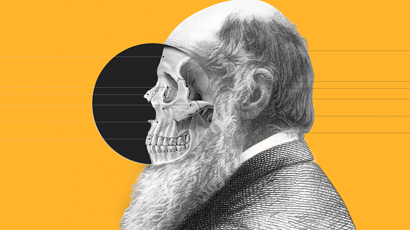 O que é a teoria da evolução de Charles Darwin e o que inspirou suas ...