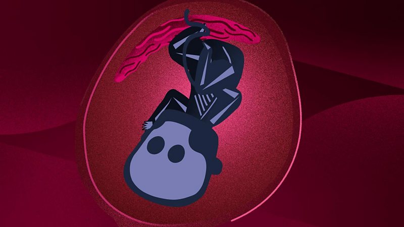 Why are babies so flexible? The science of baby flexibility - BBC Tiny ...