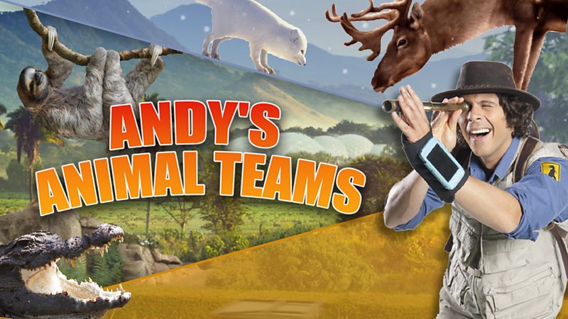 Animal Games For Kids - Andy's Animal Teams - CBeebies