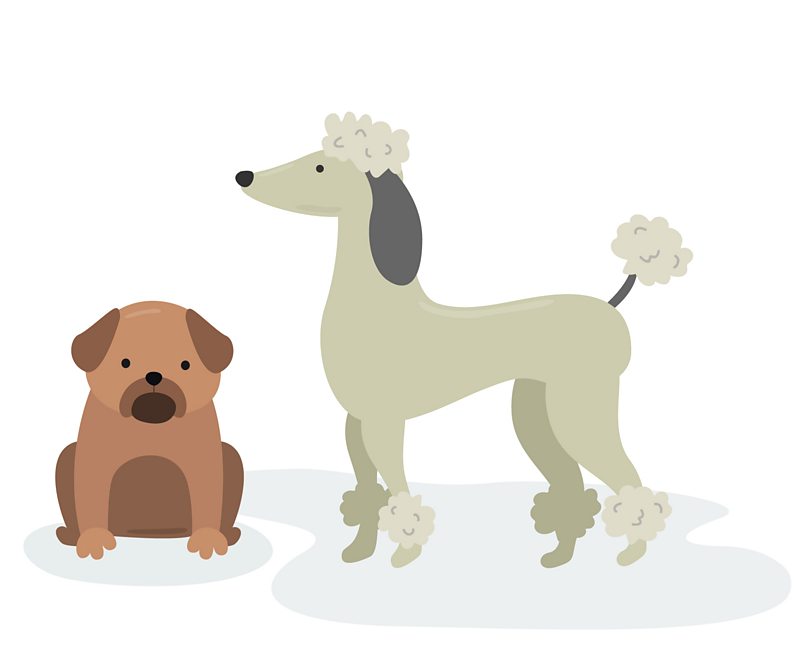 Mandarin Numbers and numeracy - 1st level Mandarin - BBC Bitesize