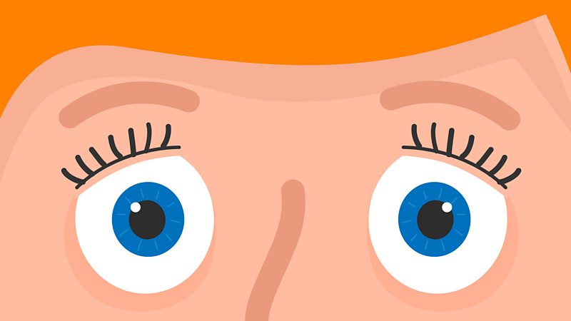 Parts of the Body - KS2 Mandarin - BBC Bitesize