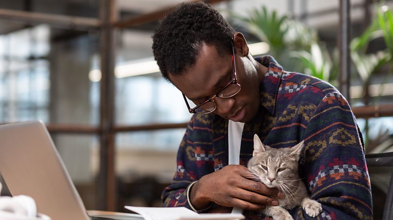 Five things science still can’t explain - BBC Bitesize