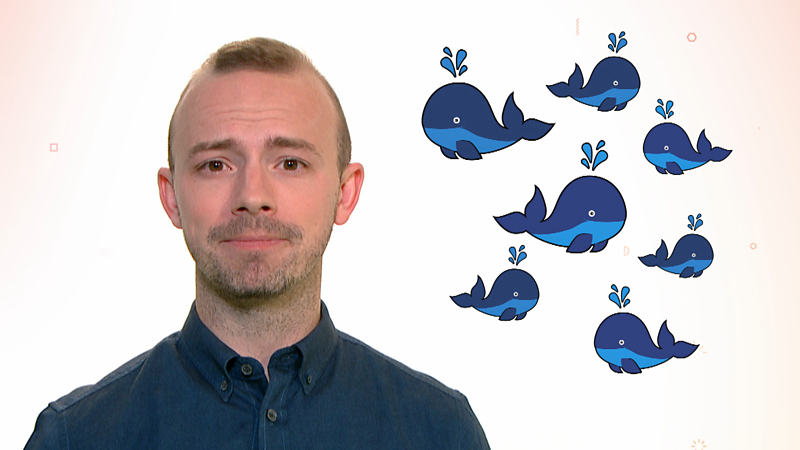 Comprehension - KS2 English - BBC Bitesize