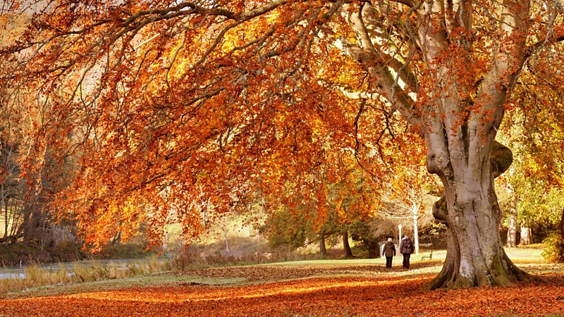 Why does the weather change with the seasons? - BBC Bitesize