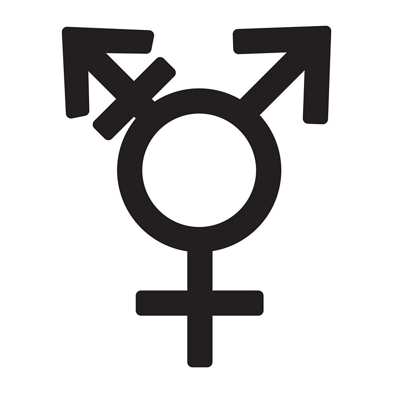 6 pride symbols for Pride Week 2023 - BBC Bitesize