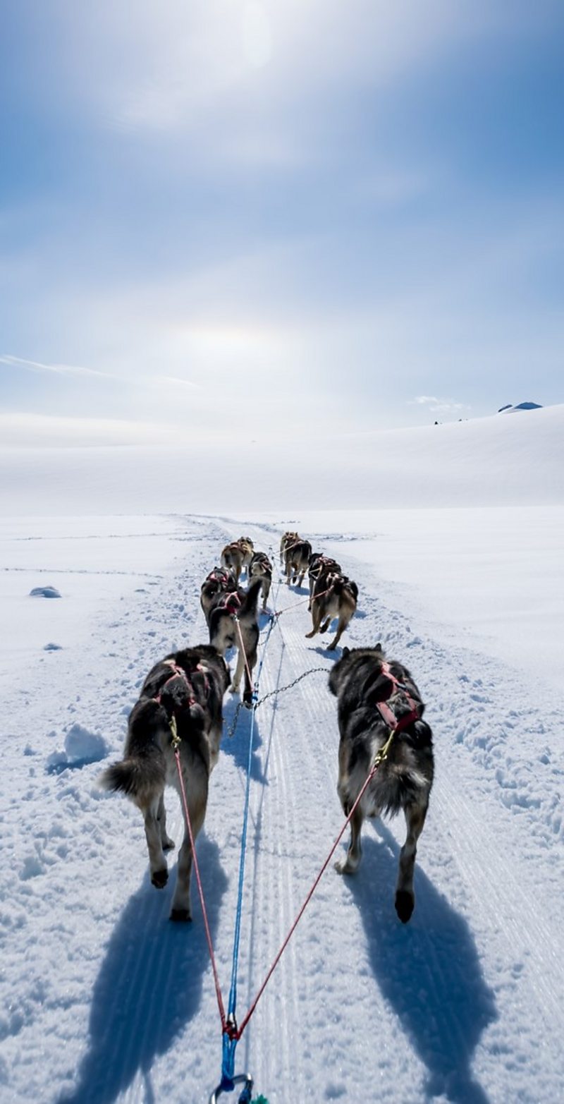 Snow homes - BBC Bitesize