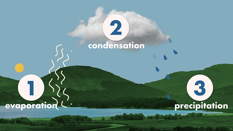 How does the water cycle work? - BBC Bitesize