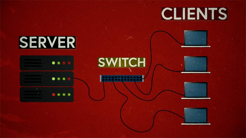 Selection - BBC Bitesize