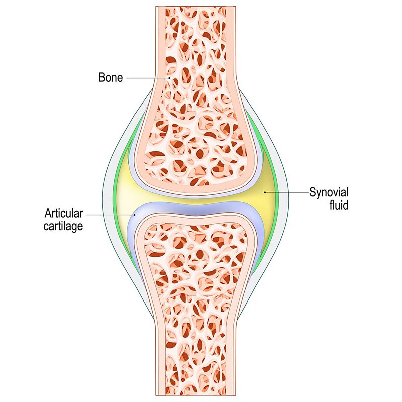 Forces, Pressure and Speed - BBC Bitesize