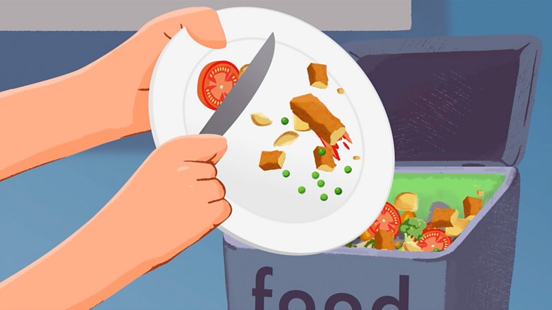 How does biomass energy work? - BBC Bitesize