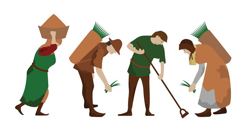 The Peasants' Revolt - The Peasants' Revolt - KS3 History - homework ...