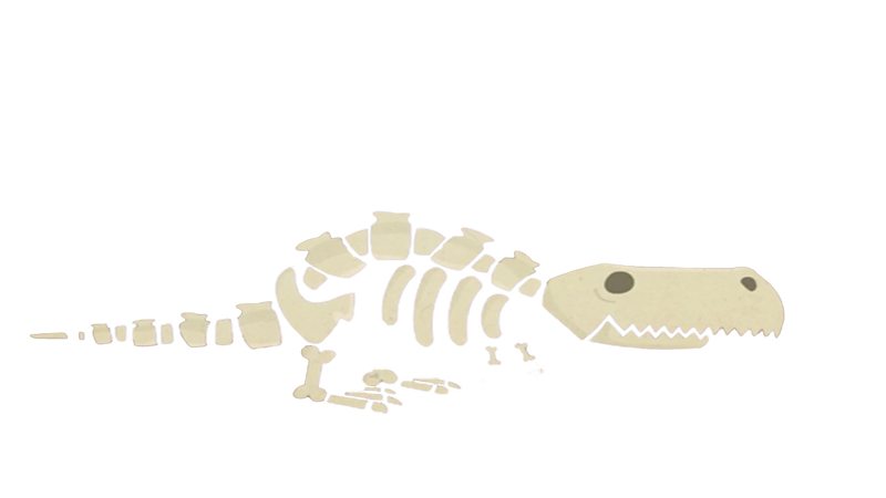 Fossils - BBC Bitesize