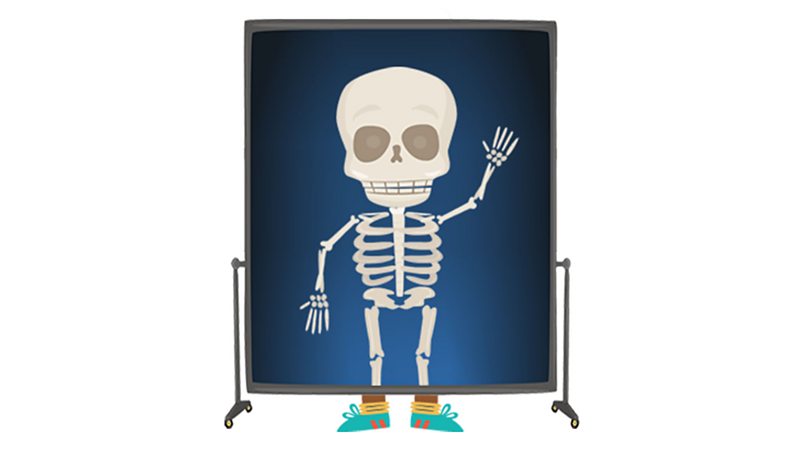 What does your skeleton do? - BBC Bitesize