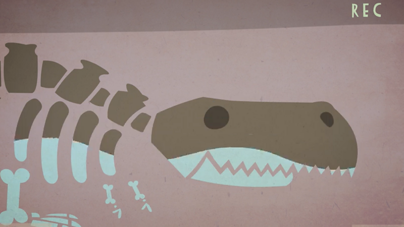 What can fossils tell us? - BBC Bitesize