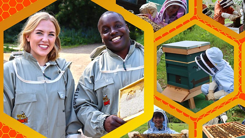 Why are bees so important? - KS2 - BBC Bitesize