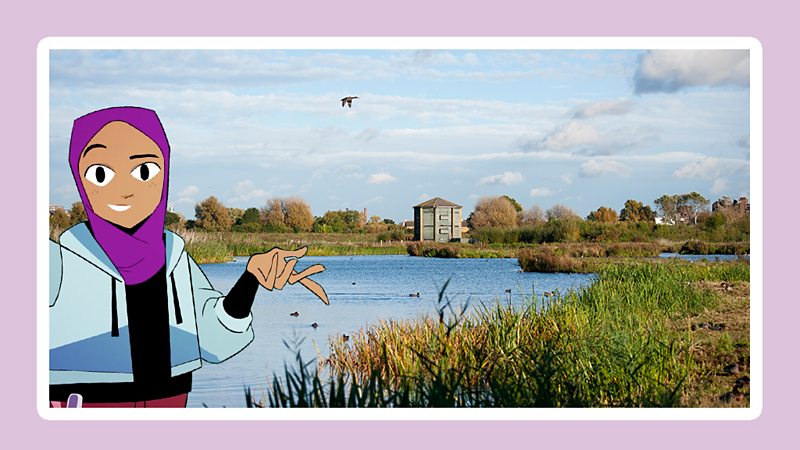 How can we look after our environment? - KS2 - The Regenerators - BBC ...