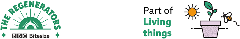 What is extinction? - KS2 - The Regenerators - BBC Bitesize