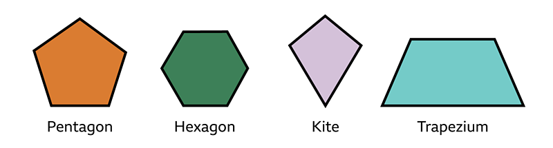 Finding shapes in nature - KS1 - The Regenerators - BBC Bitesize