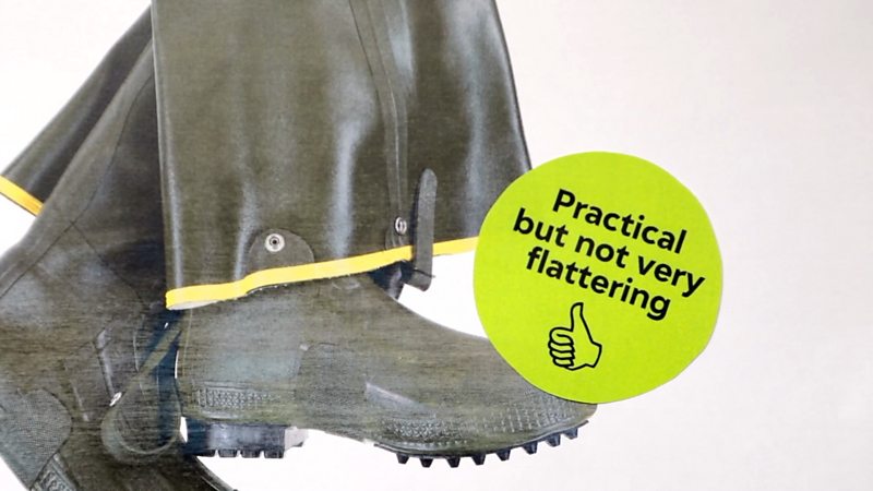 The fieldwork process - BBC Bitesize