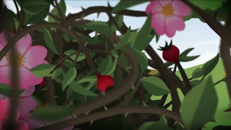 Life cycles - BBC Teach