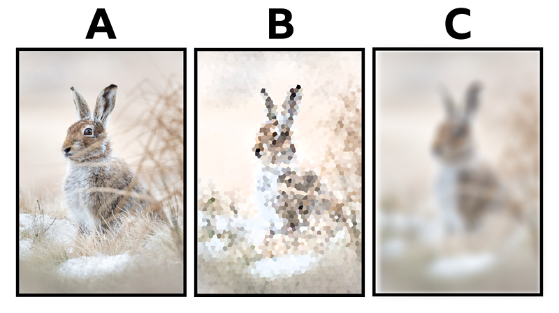 Descriptive writing guide for English students - KS3 English - BBC Bitesize