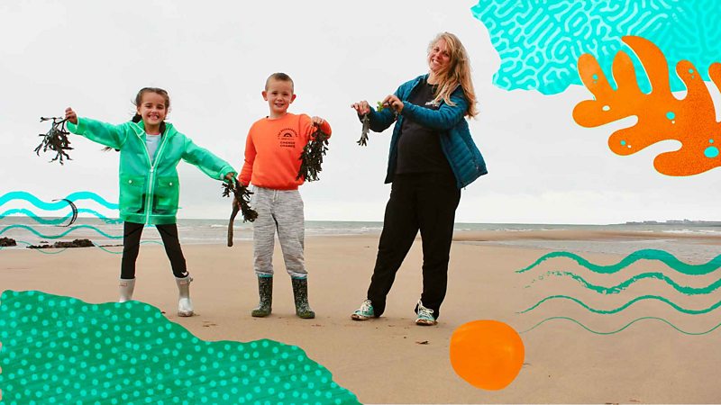 Explainer: Why do we need to conserve our environment? [KS1] - Videos ...