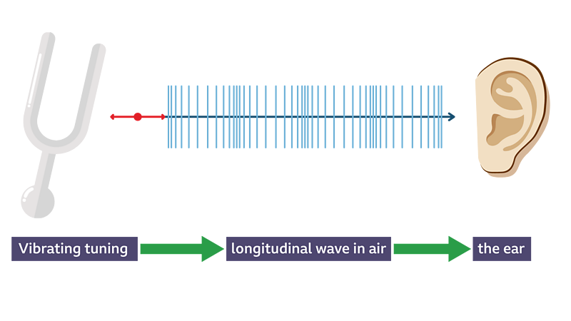 Sound Waves - BBC Bitesize