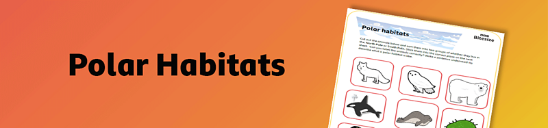 What is a polar habitat? - BBC Bitesize