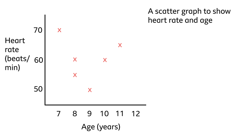Recording and presenting scientific data – KS2 Science curriculum - BBC ...