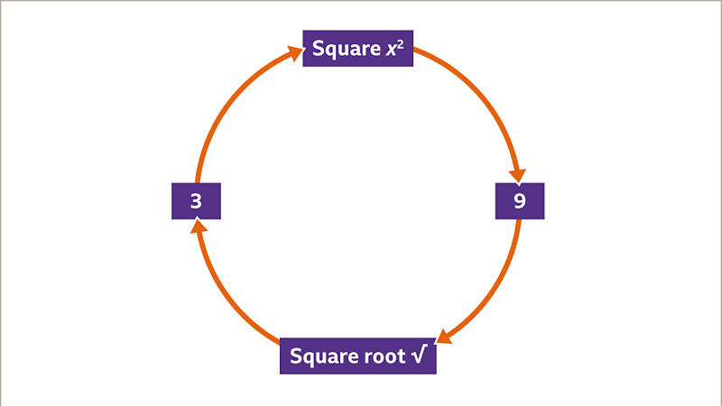 Roots - BBC Bitesize