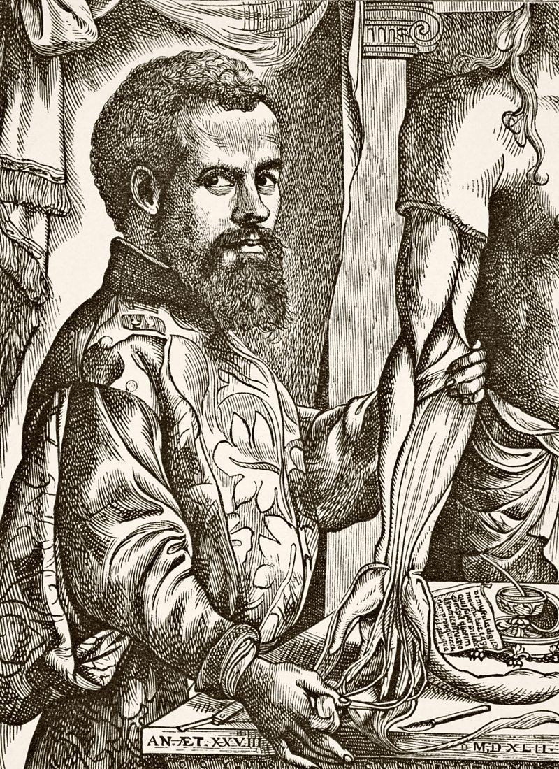 The Renaissance: the rebirth of medicine, 14th to 17th century - BBC ...