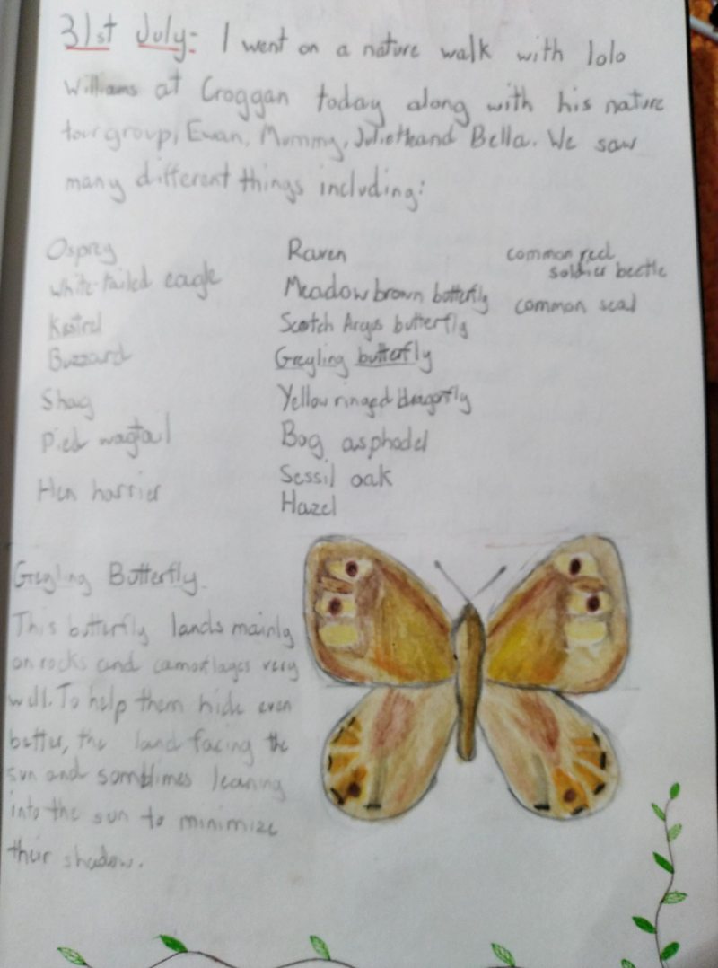 How to start a nature journal - BBC Bitesize