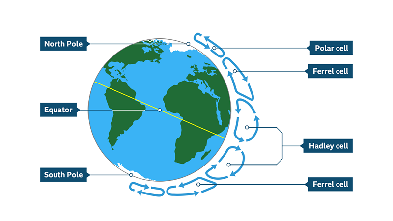 Global biomes guide for KS3 geography students - BBC Bitesize