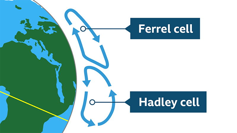 Global biomes guide for KS3 geography students - BBC Bitesize