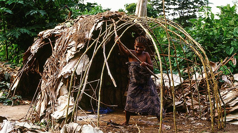 Tropical rainforests guide for KS3 geography students - BBC Bitesize